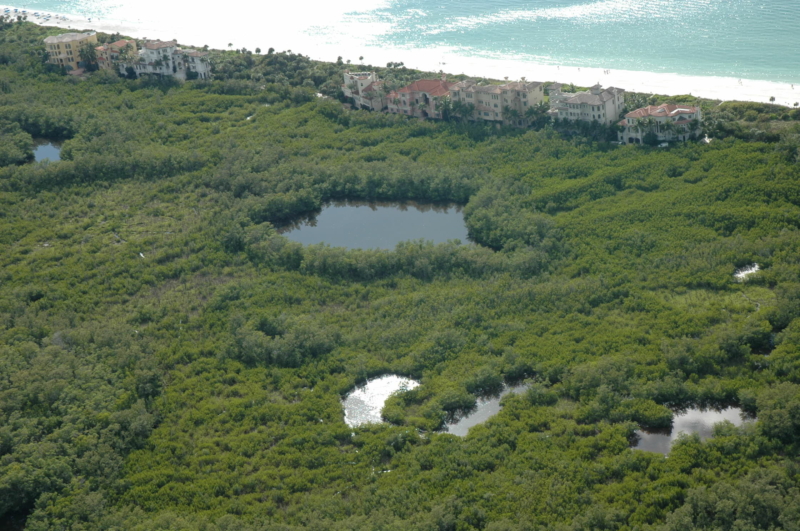 Clam Bay • Turrell, Hall & Associates, Inc.